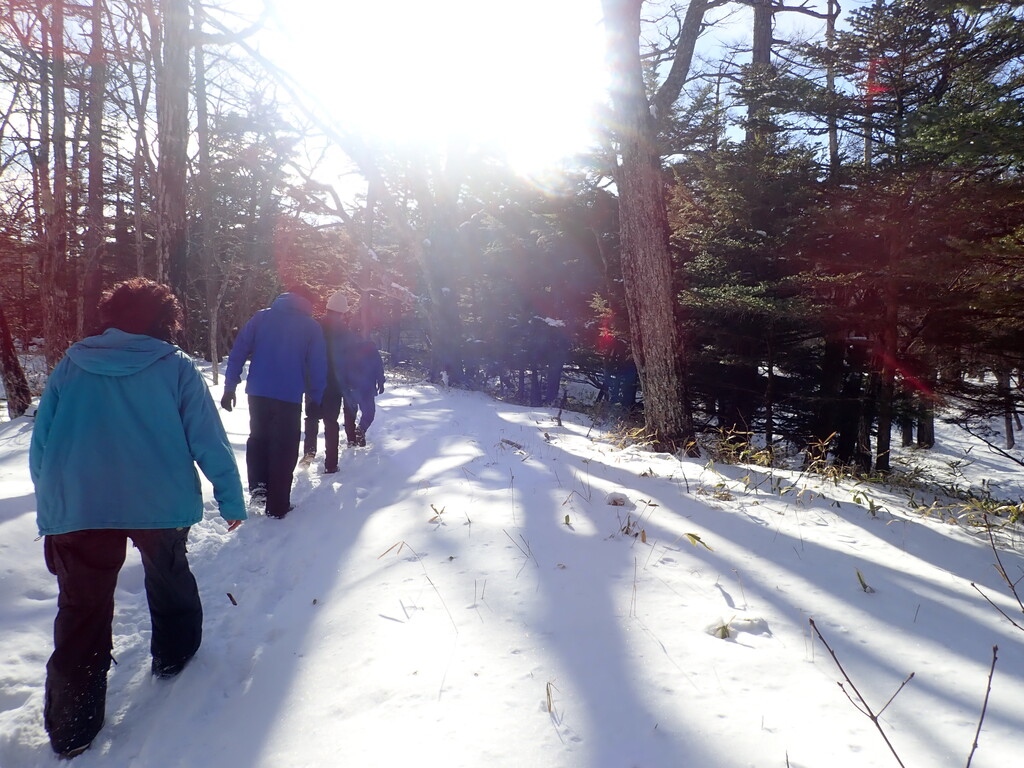 Winter in Nikko – Top 4 things to do | NIKKOBASE