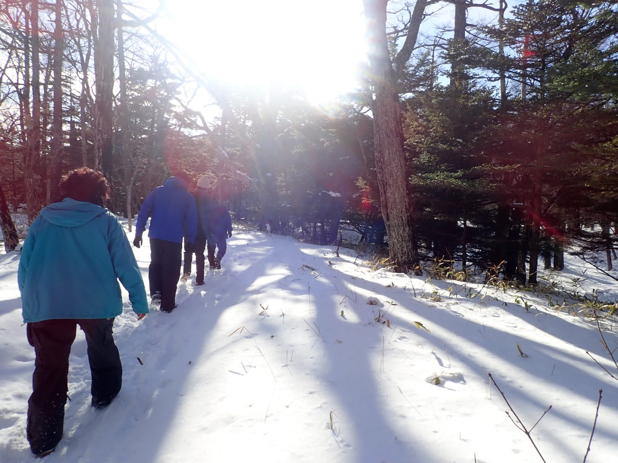 Winter in Nikko – Top 4 things to do | NIKKOBASE