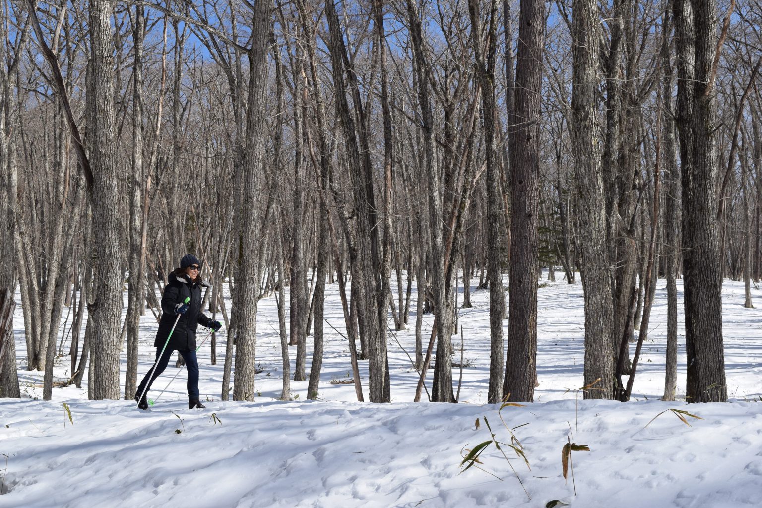 Winter in Nikko – Top 4 things to do | NIKKOBASE